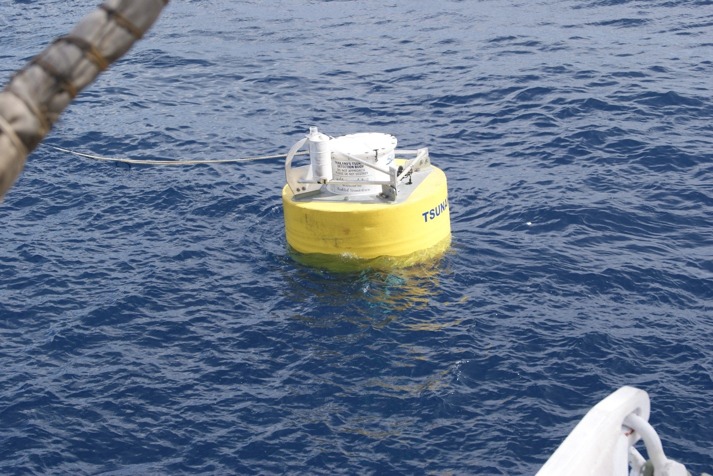 Raydant International