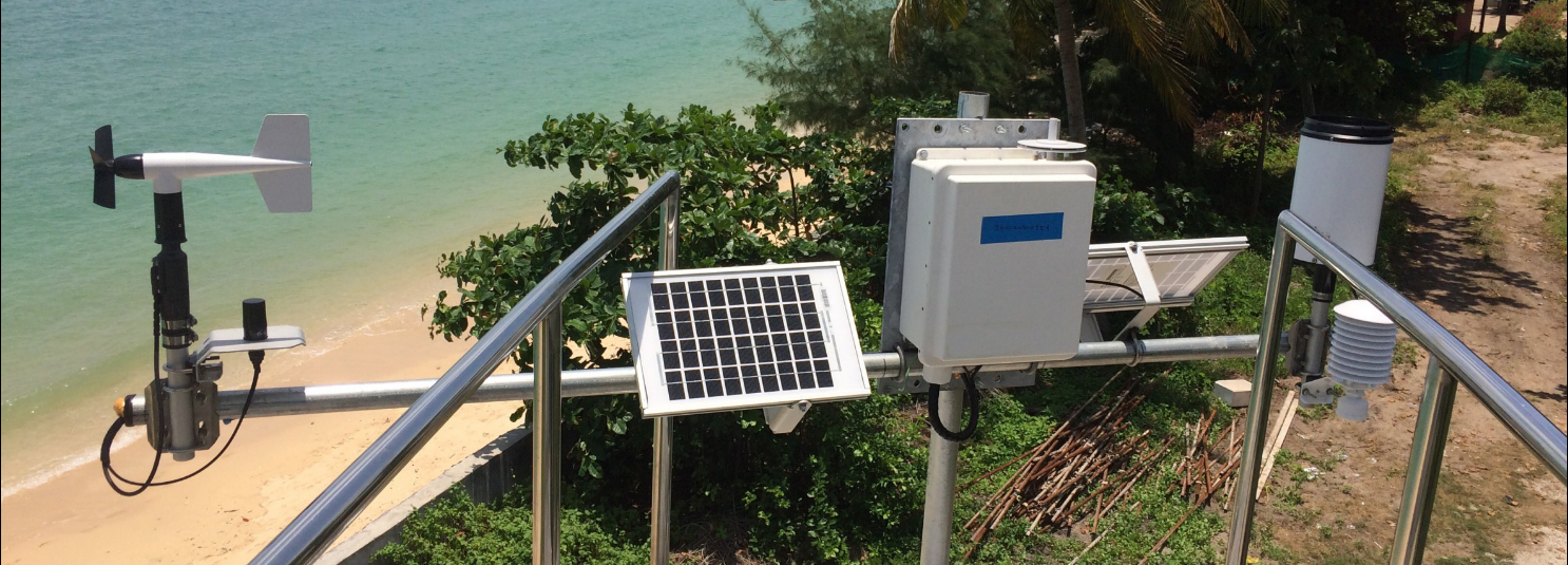 Raydant International